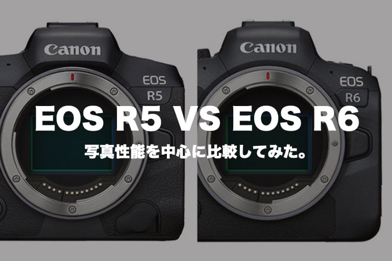 【どっちを選ぶ？】EOS R5とR6を比較！写真性能を中心に比べてみた。